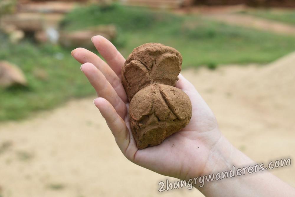 Rassagala (Rajagala) ancient monastery - one of the future top ...