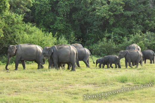 The top (and only) 3 things to do in Sigiriya and where to eat | 2 ...